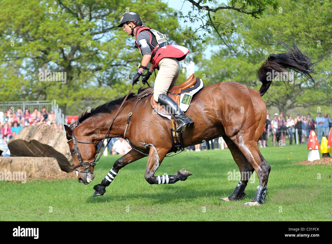 Stephanie Rhodes-Bosch (CAN) riding PORT AUTHORITY nearly falls after ...
