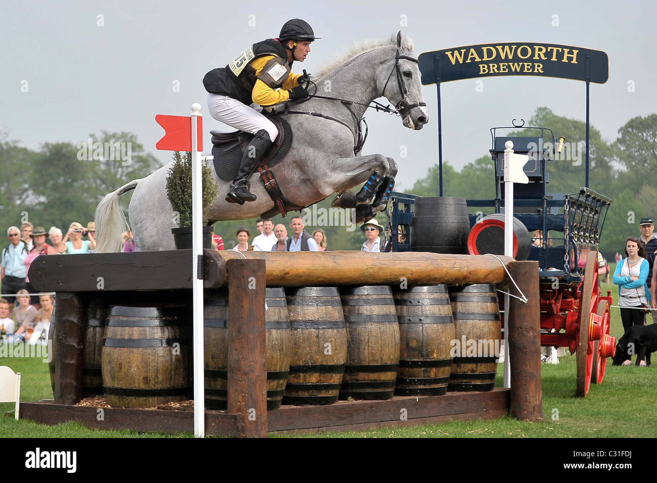 Nick Gauntlett riding ELEKTRON at fence 21. Mitsubishi Badminton Horse ...