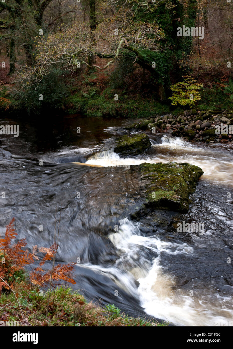 The River Dart at New Bridge, Dartmoor National Park, Devon Stock Photo ...