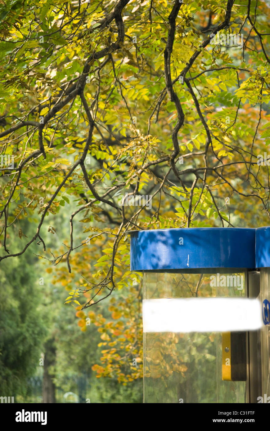 Harmonious environment hi-res stock photography and images - Alamy