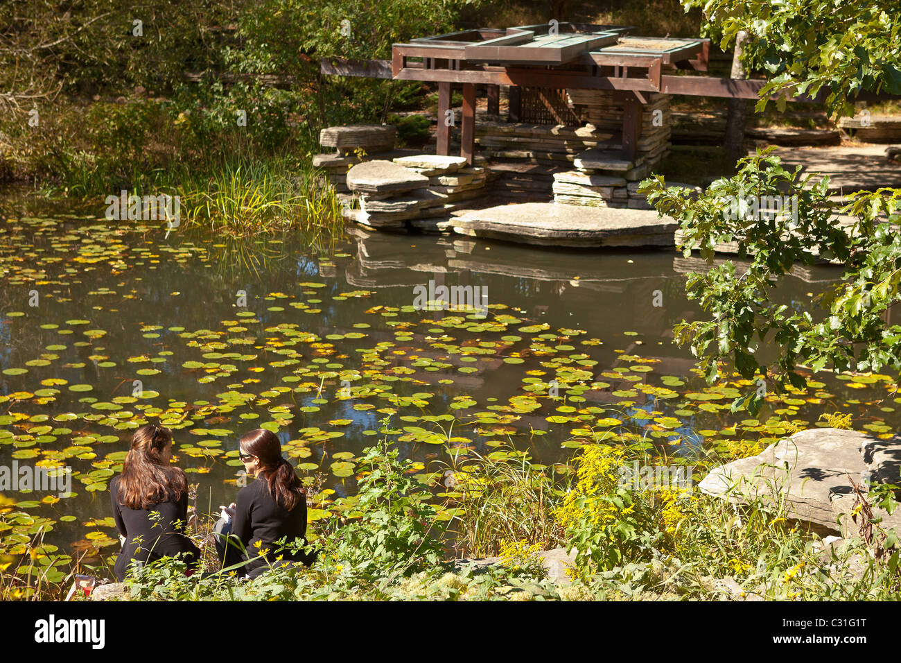 Alfred Caldwell Lily Pool, The Rookery, Lincoln Park Chicago, IL Stock ...