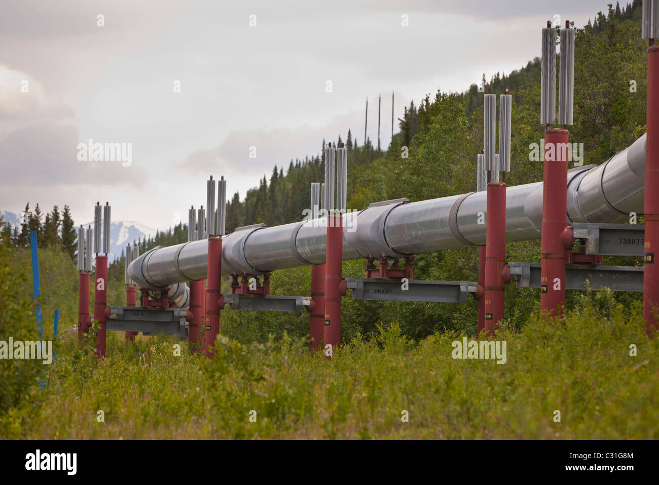 THOMPSON PASS, ALASKA, USA - The Trans-Alaska Pipeline System, also ...