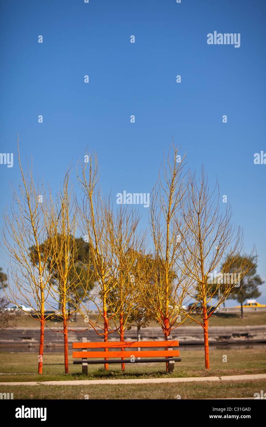 Public art installation of painted trees and bench in Lincoln Park ...
