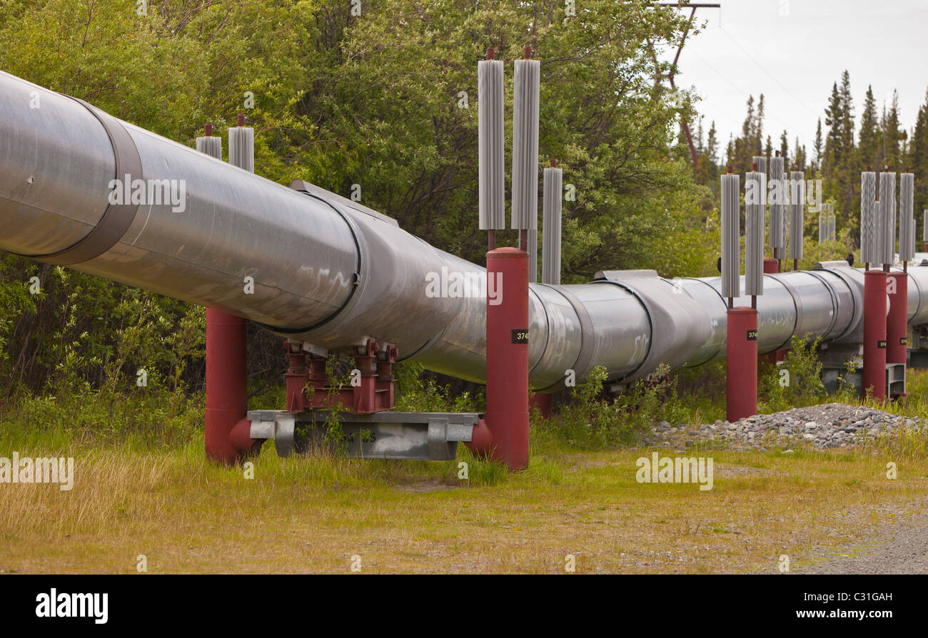 THOMPSON PASS, ALASKA, USA - The Trans-Alaska Pipeline System, also ...
