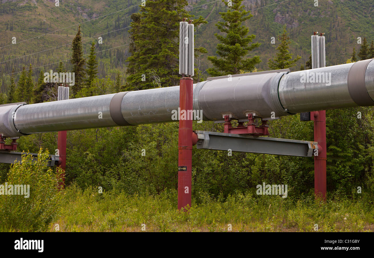 THOMPSON PASS, ALASKA, USA - The Trans-Alaska Pipeline System, also ...