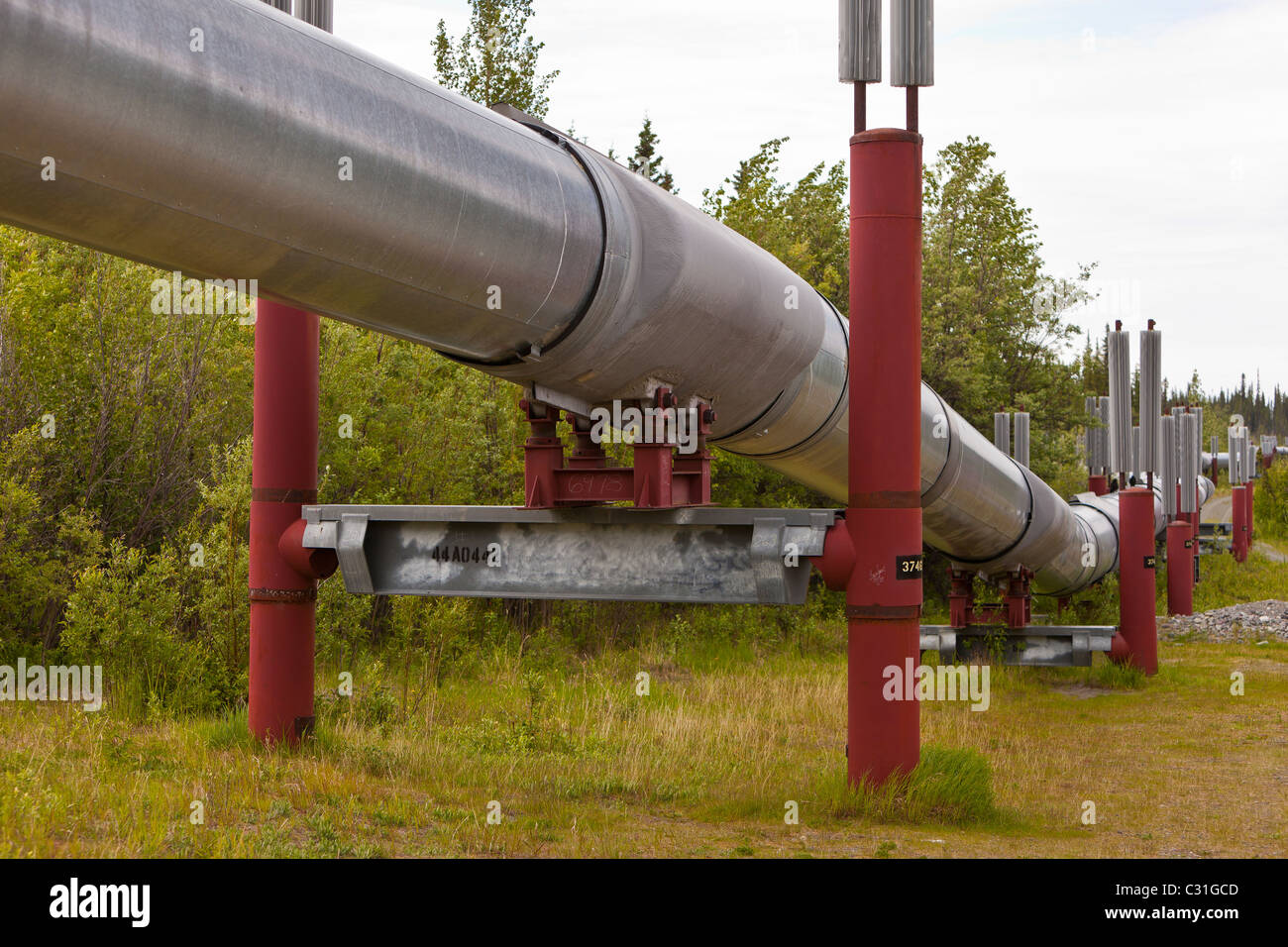 THOMPSON PASS, ALASKA, USA - The Trans-Alaska Pipeline System, also ...