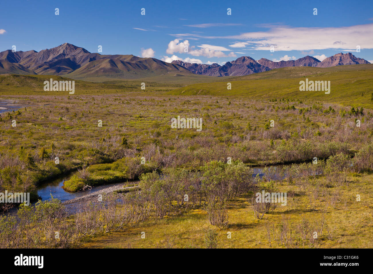 Denali wilderness national park hi-res stock photography and images - Alamy