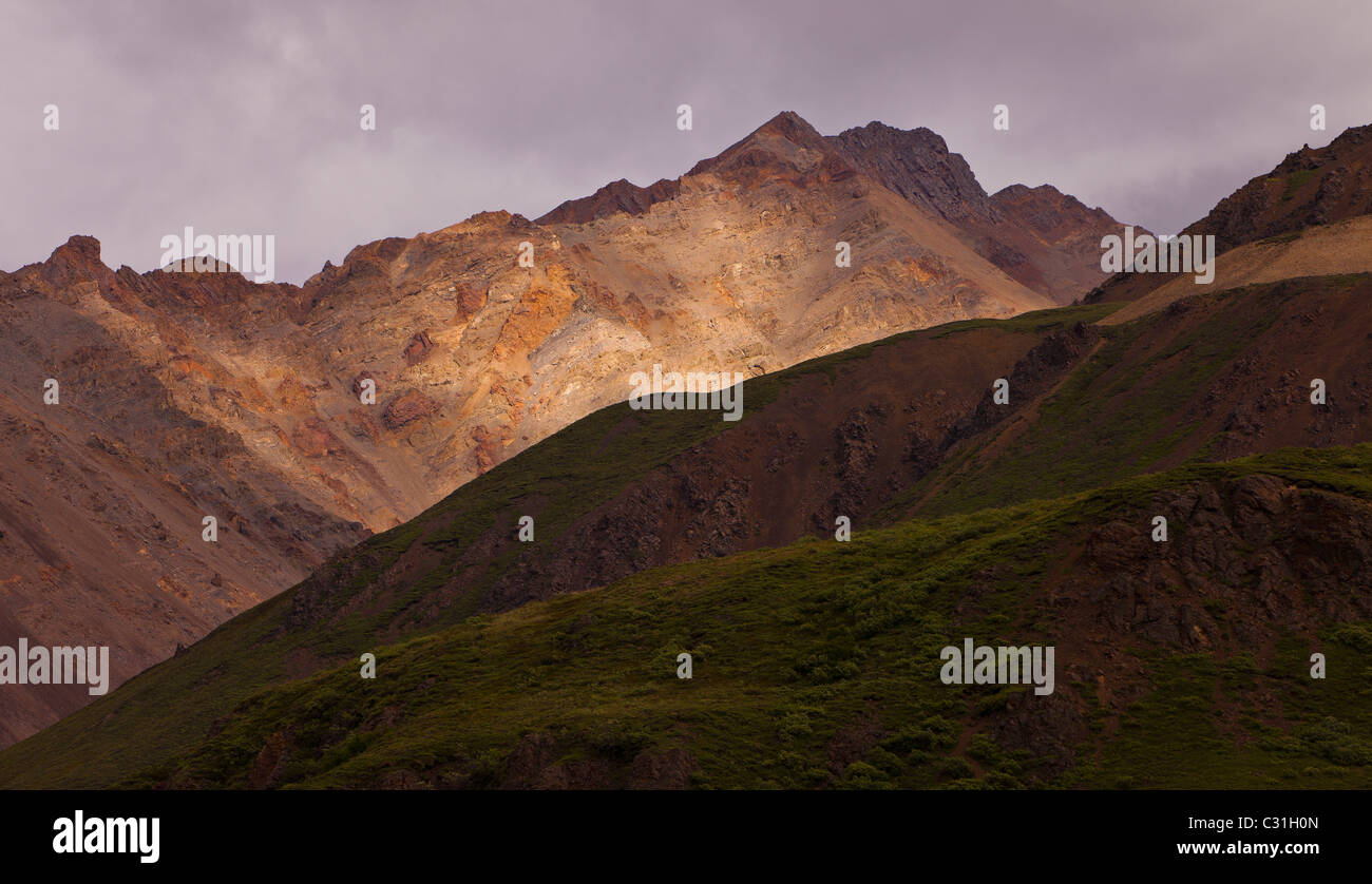 ALASKA, USA - Wilderness mountain landscape in Denali National Park ...