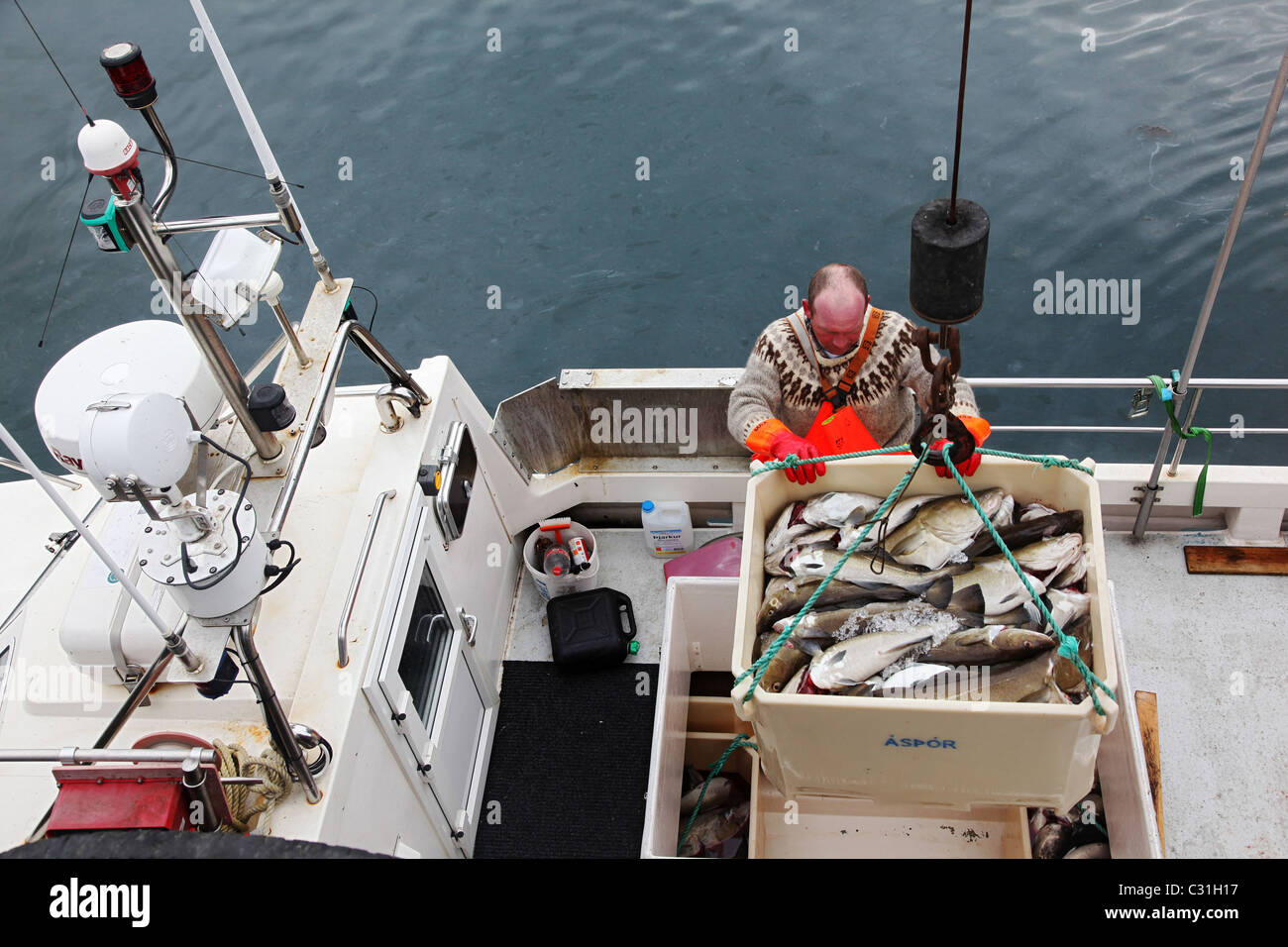 ICELANDIC FISHERMAN UNLOADING COD, ARRIVAL OF A FISHING BOAT IN THE ...