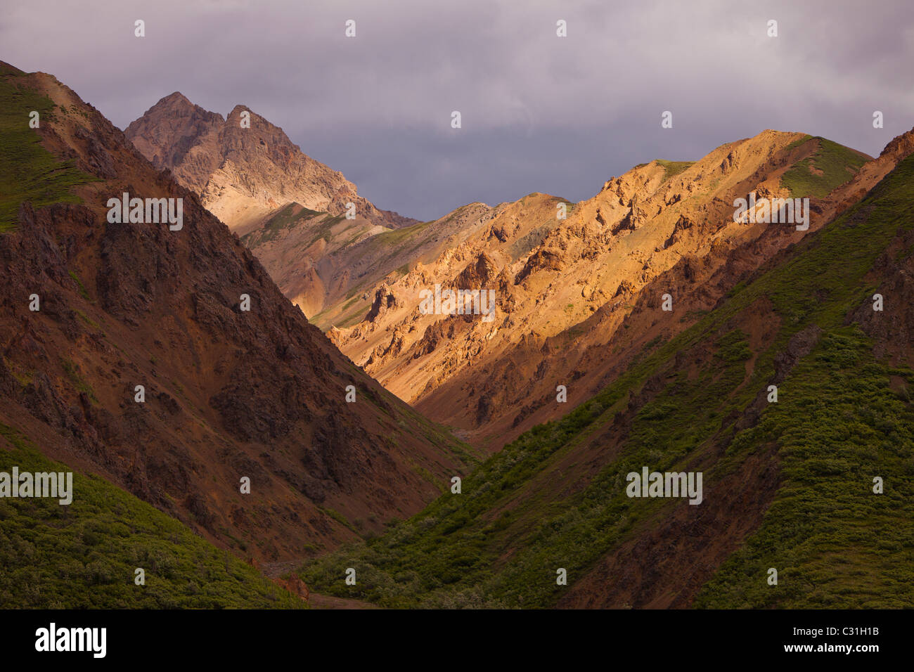 ALASKA, USA - Wilderness mountain landscape in Denali National Park ...