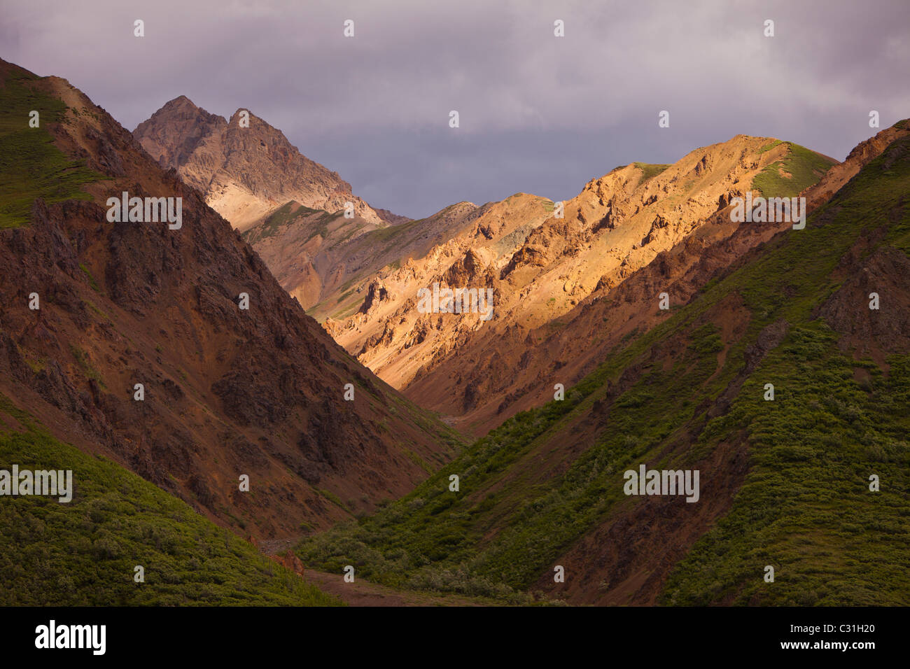 ALASKA, USA - Wilderness mountain landscape in Denali National Park ...