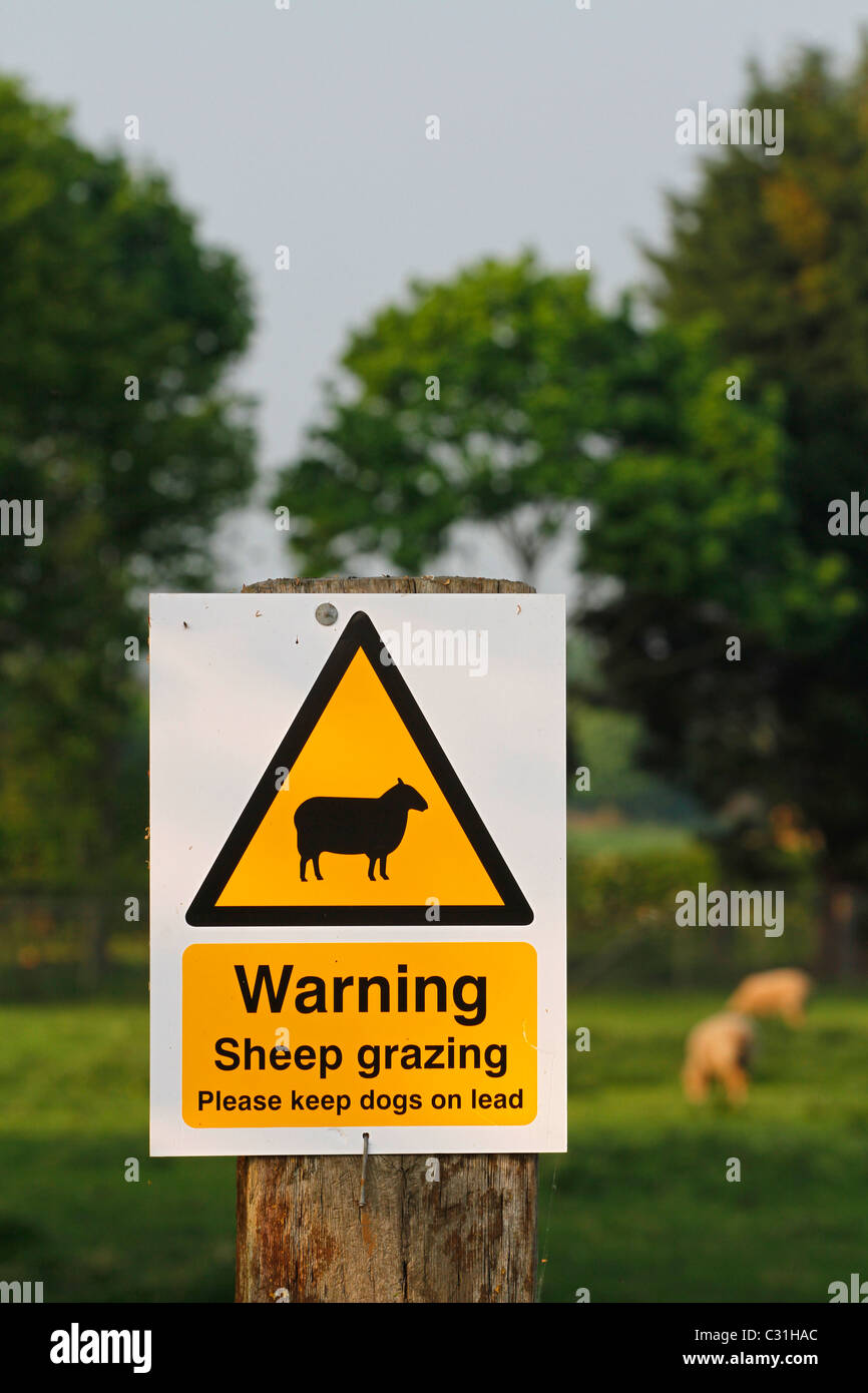 Warning sign - sheep grazing, please keep dogs on a lead Stock Photo ...