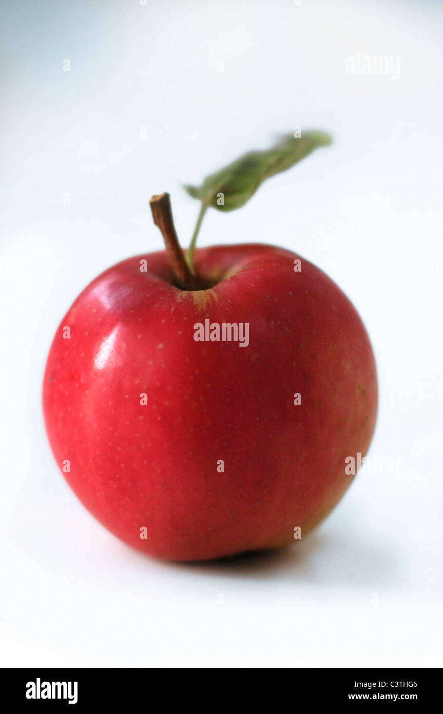 RED APPLE WITH ITS STEM AND LEAF, AUTUMN FRUIT Stock Photo - Alamy