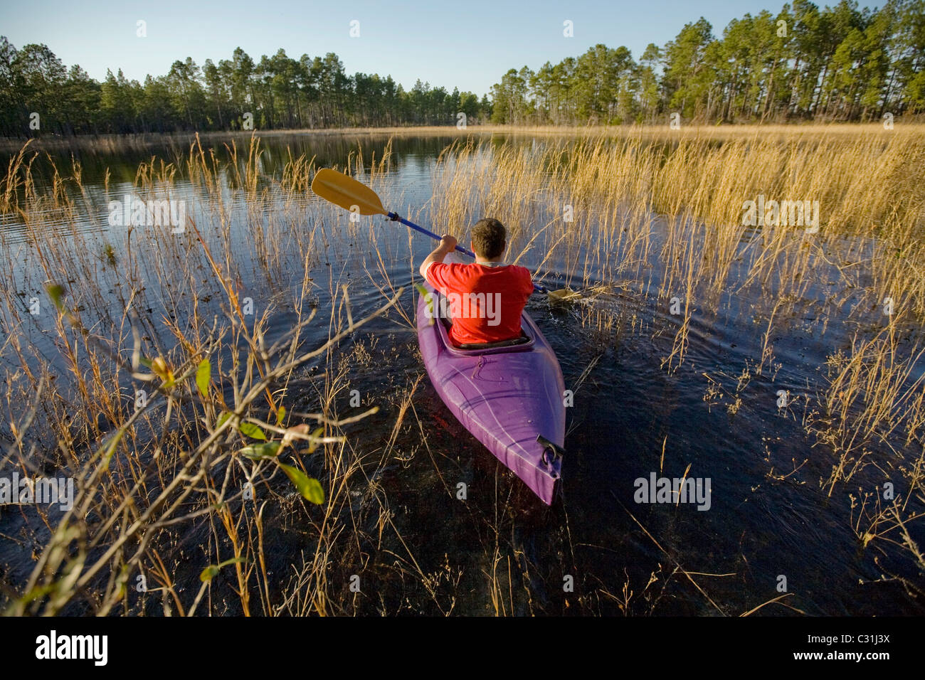 A man kayaks through a part of the Green Swamp in Southeast North ...