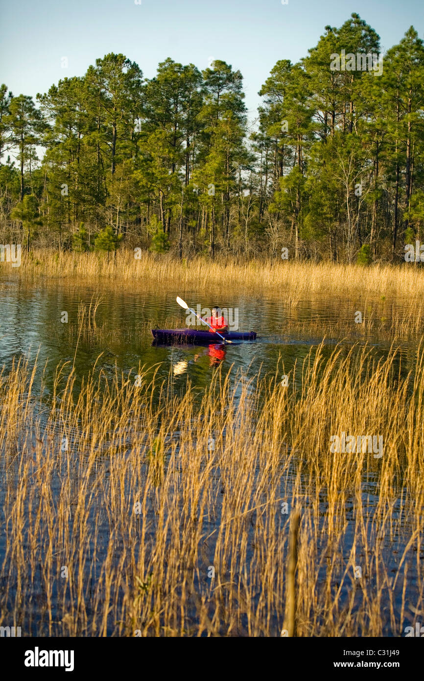 A man kayaks through a part of the Green Swamp in Southeast North ...