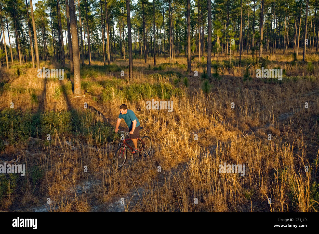 Cycling through the swamp hi-res stock photography and images - Alamy