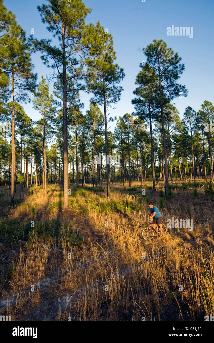 A man bikes on a trail through a part of the Green Swamp in South-east ...