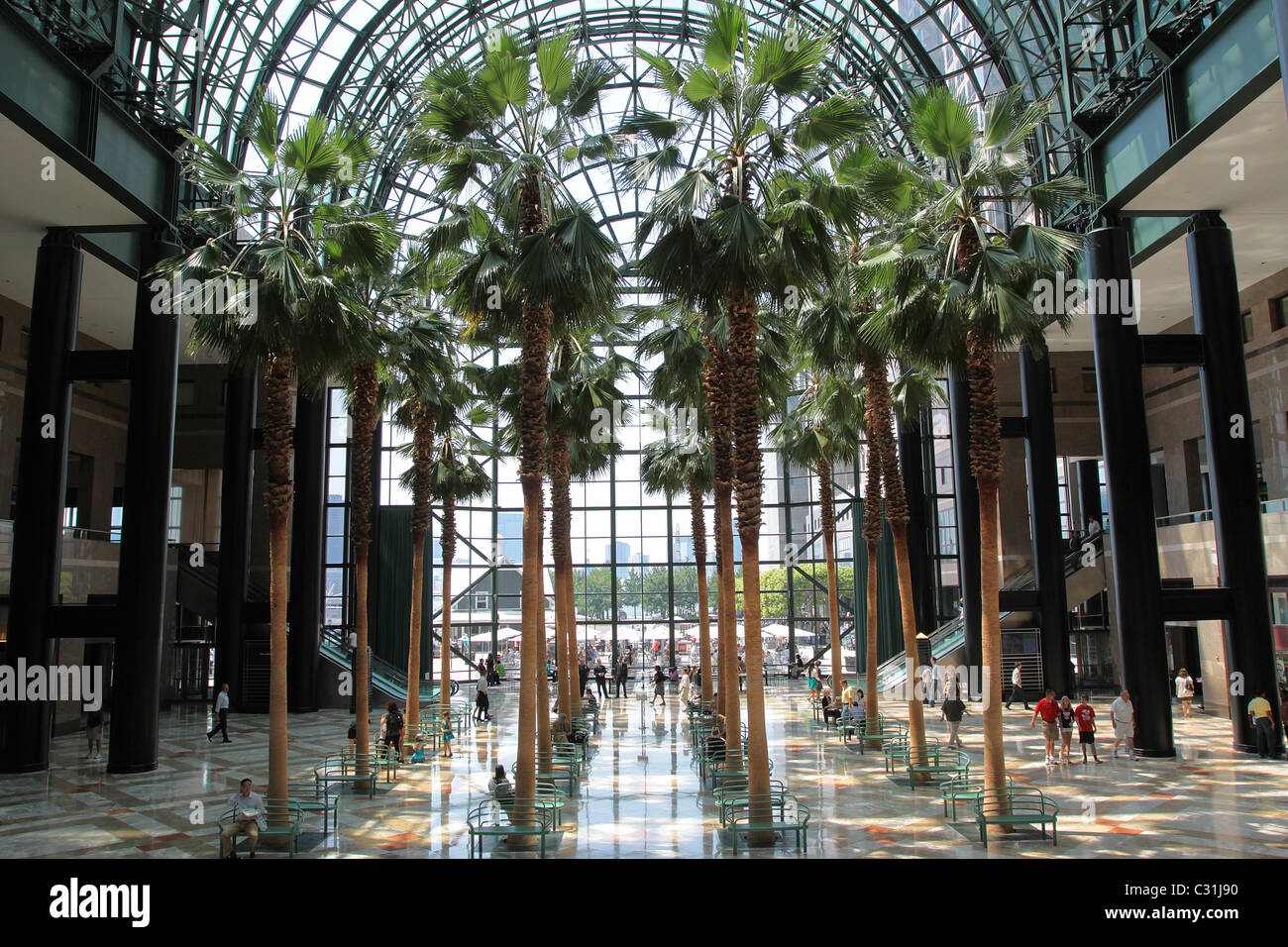 New york city tree planting hi-res stock photography and images - Alamy