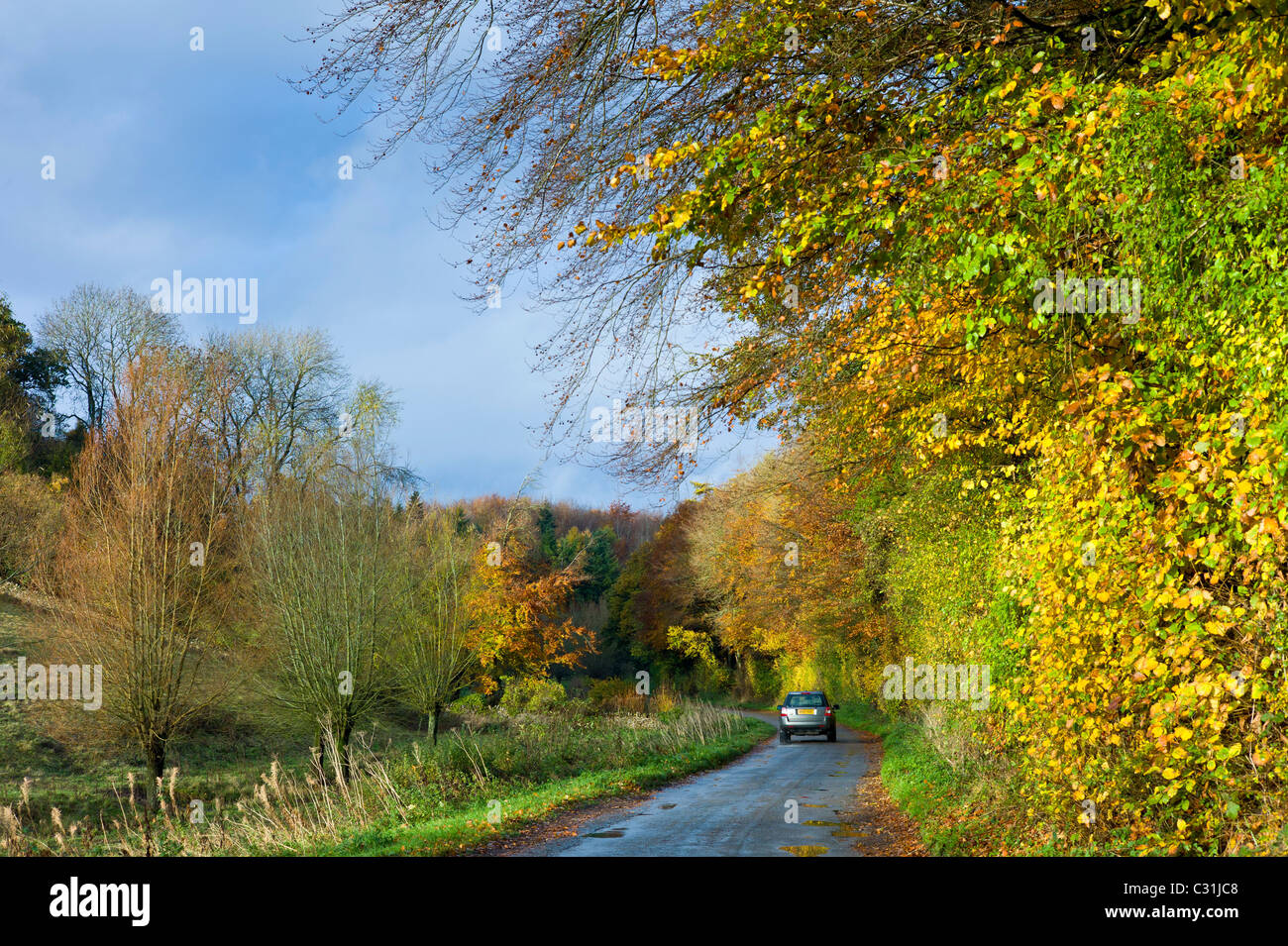 Car in english countryside hi-res stock photography and images - Alamy