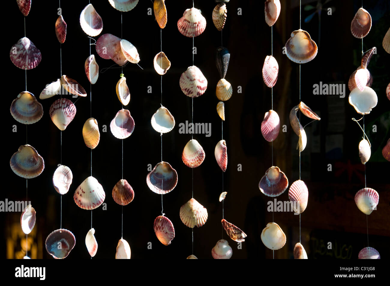 Decorative Shells High Resolution Stock Photography and Images - Alamy
