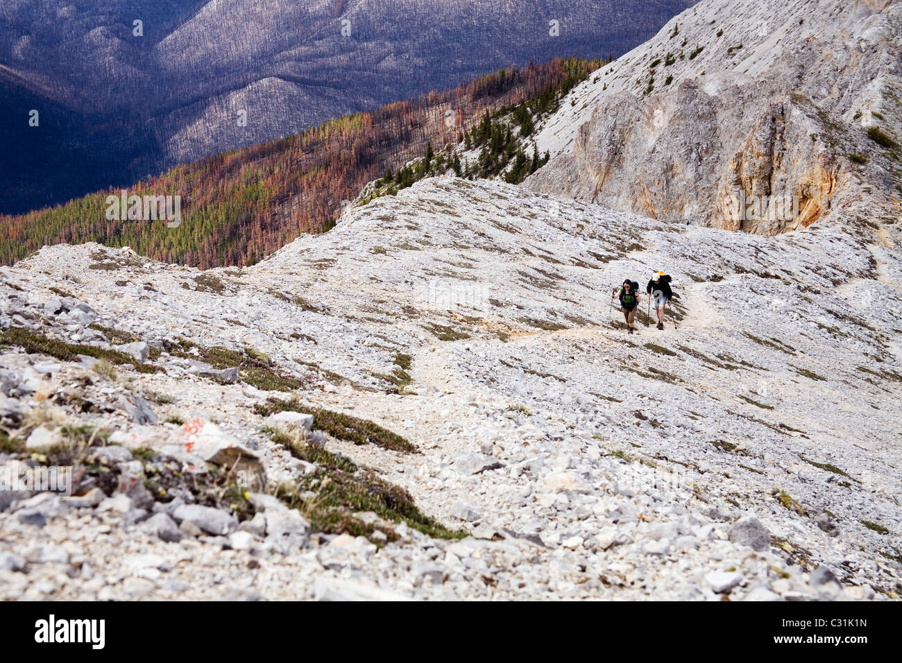 Two friends hike in the southern Chilcotin mountains Stock Photo - Alamy