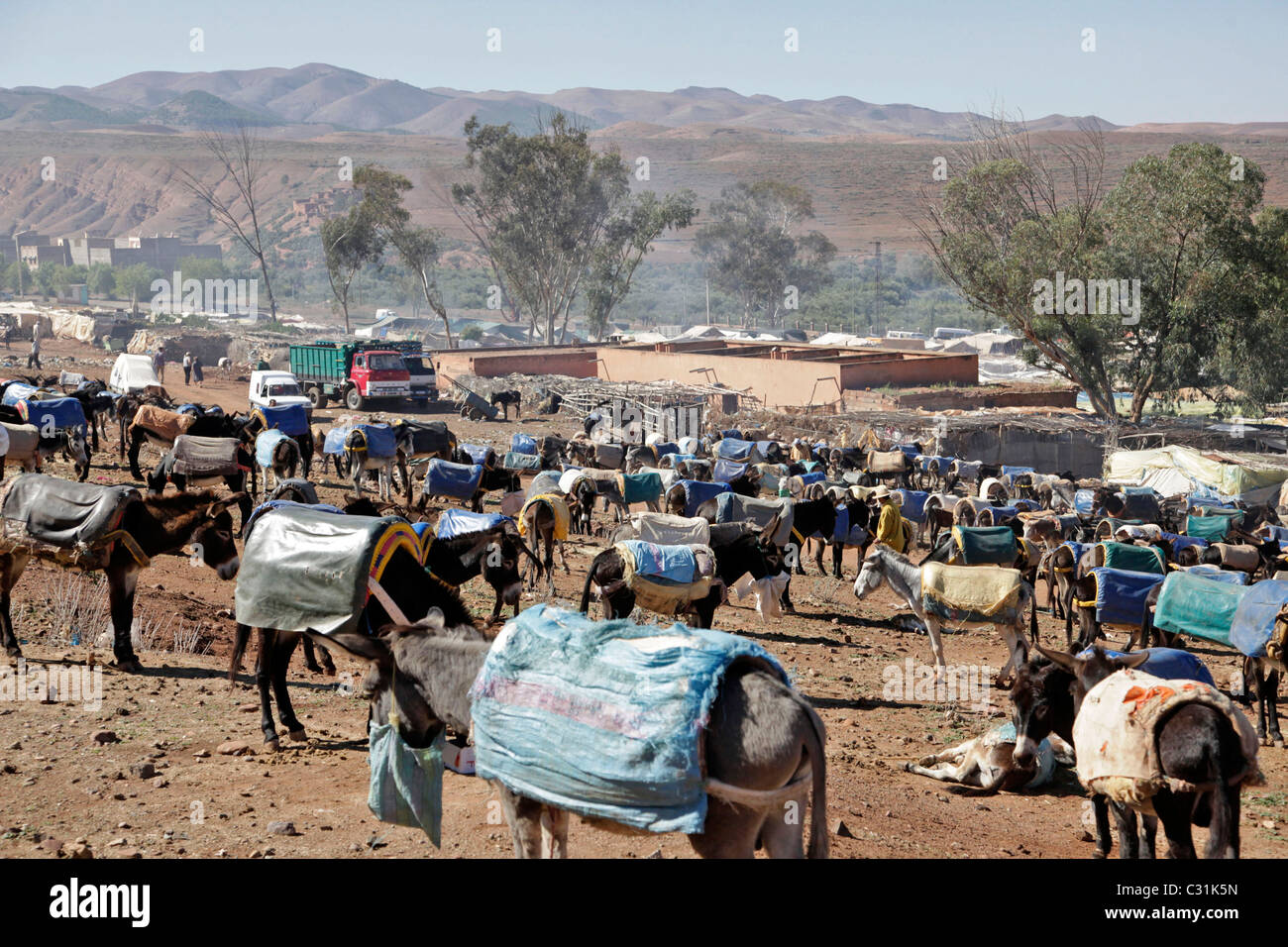 Car parking morocco market hi-res stock photography and images - Alamy