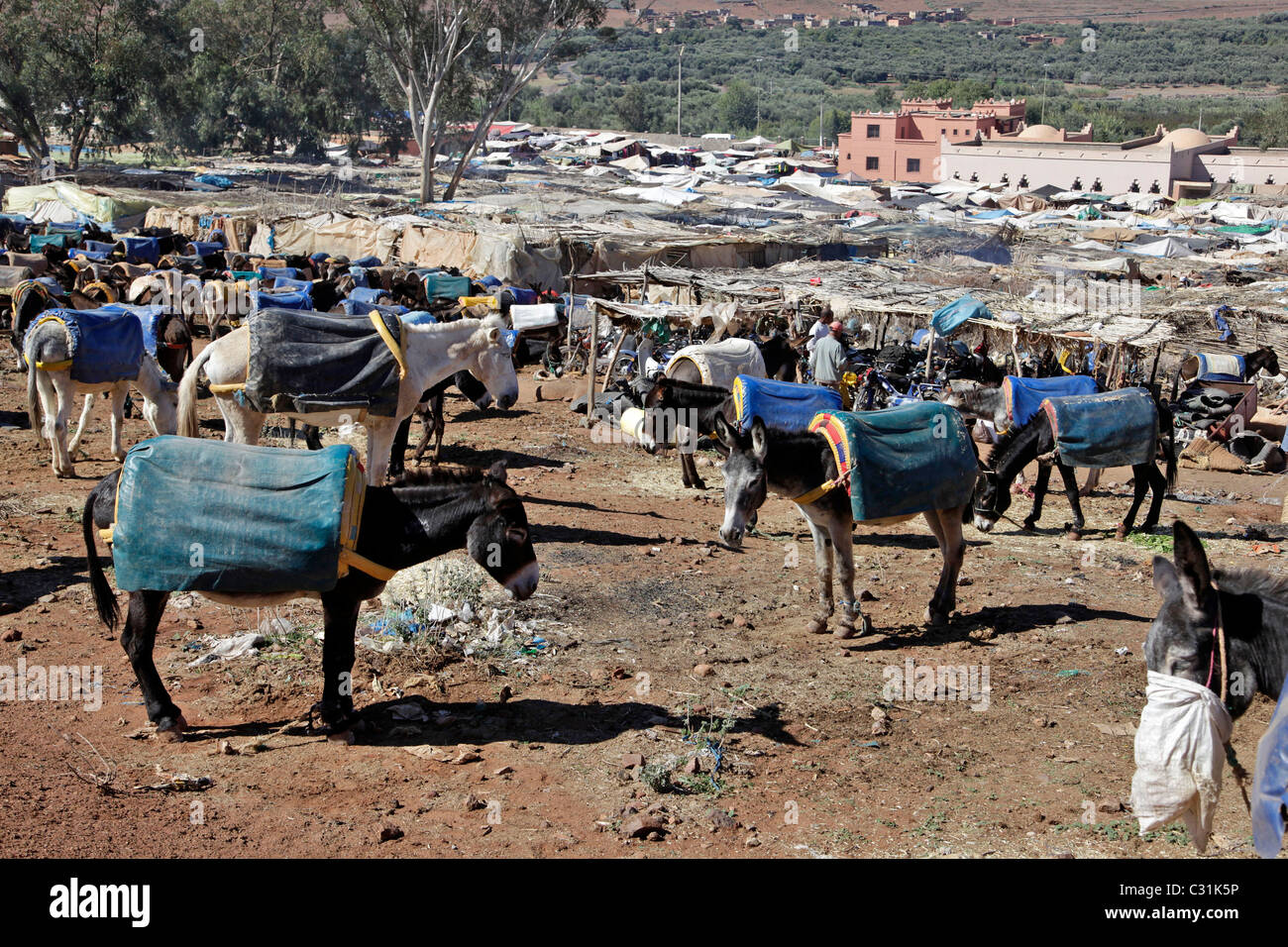 Car Parking Morocco Market High Resolution Stock Photography and Images ...