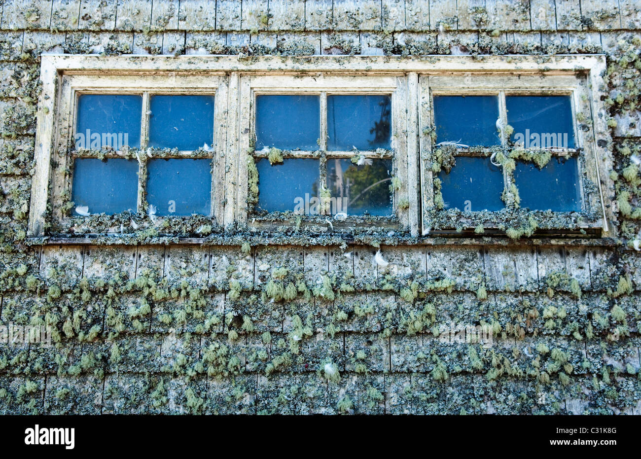 A set of windows layered by the elements in Acadia National Park, Maine ...