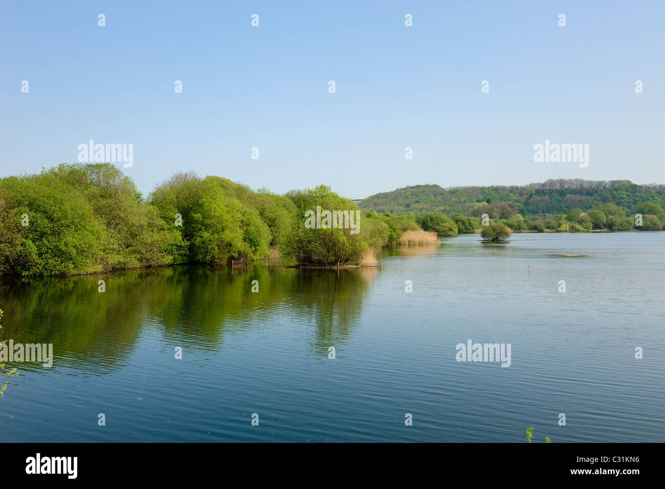 attenborough nature reserve nottingham england uk Stock Photo - Alamy