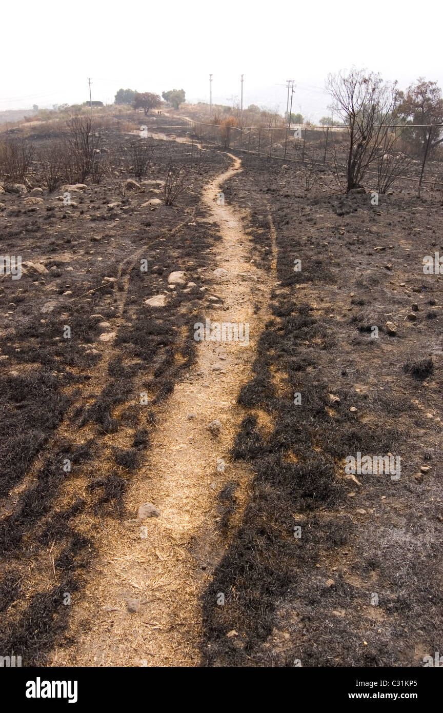 Road crossing a burned field Stock Photo - Alamy