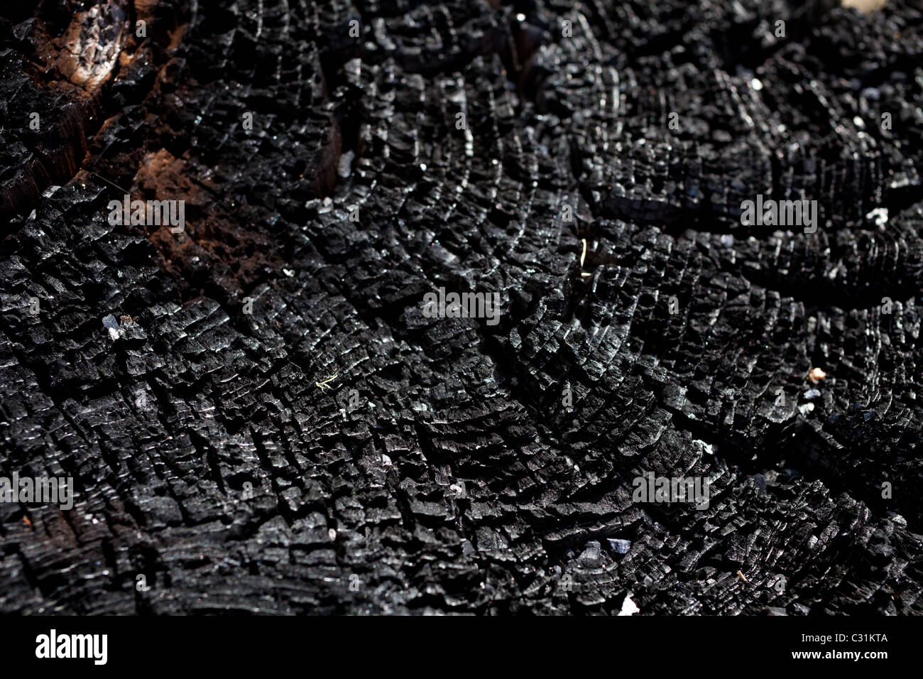 Burnt Wood texture for backrgound Stock Photo - Alamy