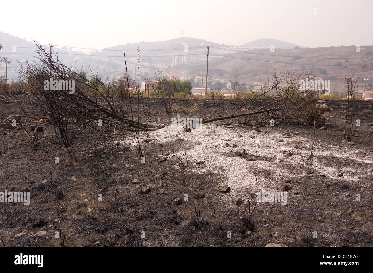Carbonized hi-res stock photography and images - Alamy