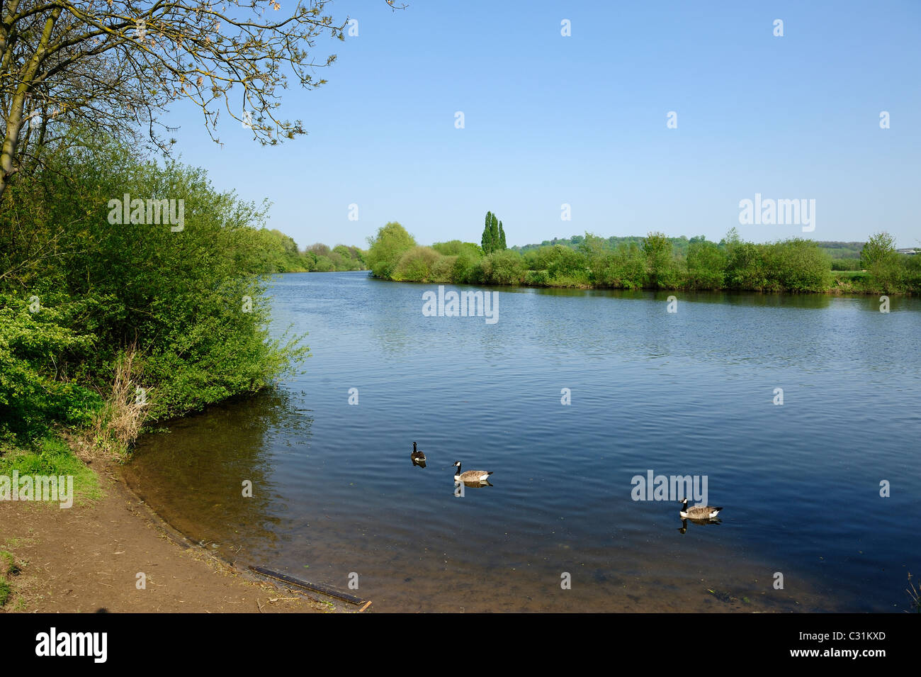 river trent nottingham england uk Stock Photo - Alamy