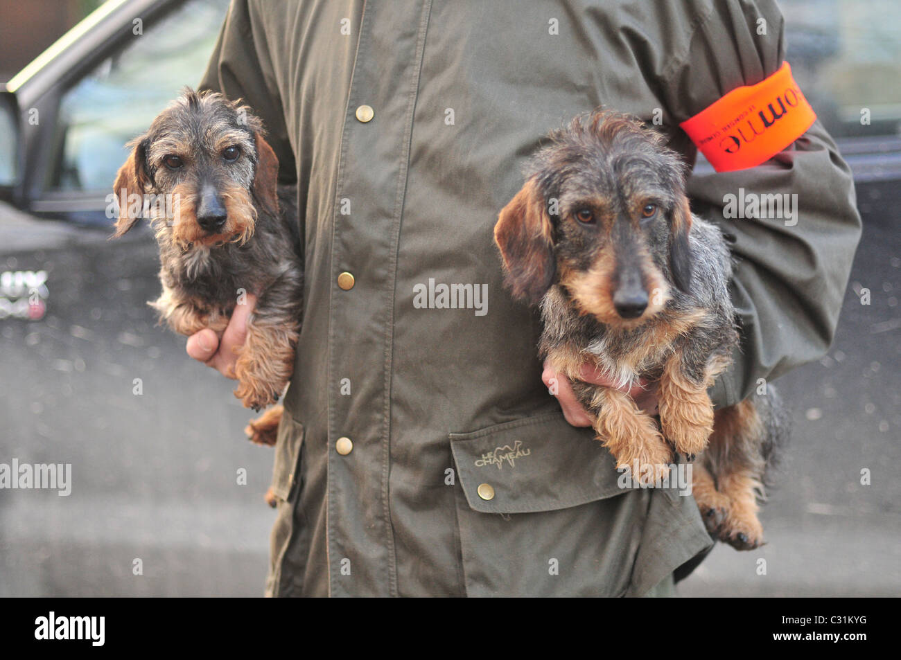 Hunter carrying dog hi-res stock photography and images - Alamy