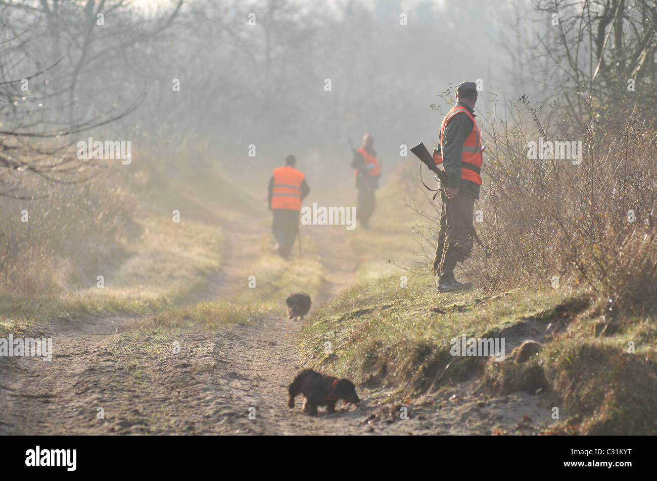 HUNTERS WITH THEIR DOGS, HUNTING IN THE NATURE RESERVE OF THE BAY OF ...