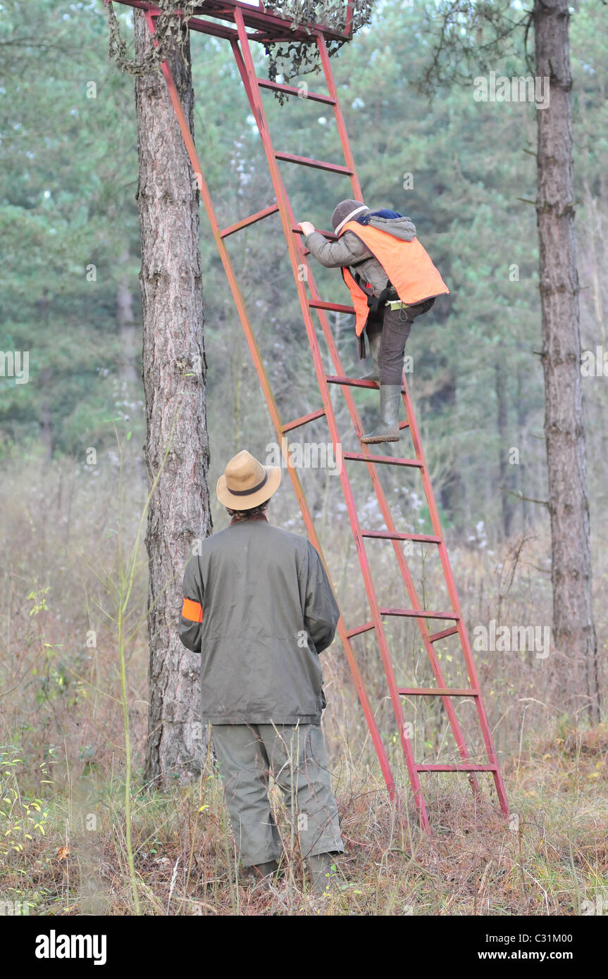 HUNTER CLIMBING UP TO AN OBSERVATION HIDE, HUNTING IN A FOREST IN THE ...