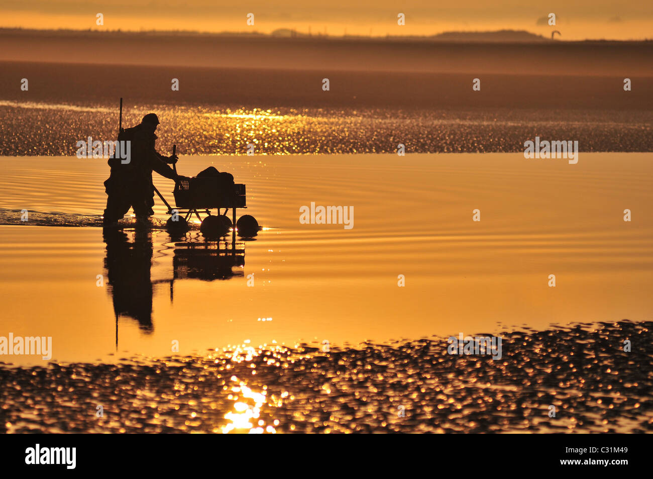 HUNTER WITH HIS GEAR CROSSING A TIDAL POOL AS HE COMES BACK FROM THE ...