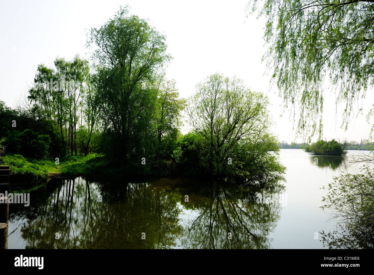 trees reflected attenborough nature reserve nottingham england uk Stock ...