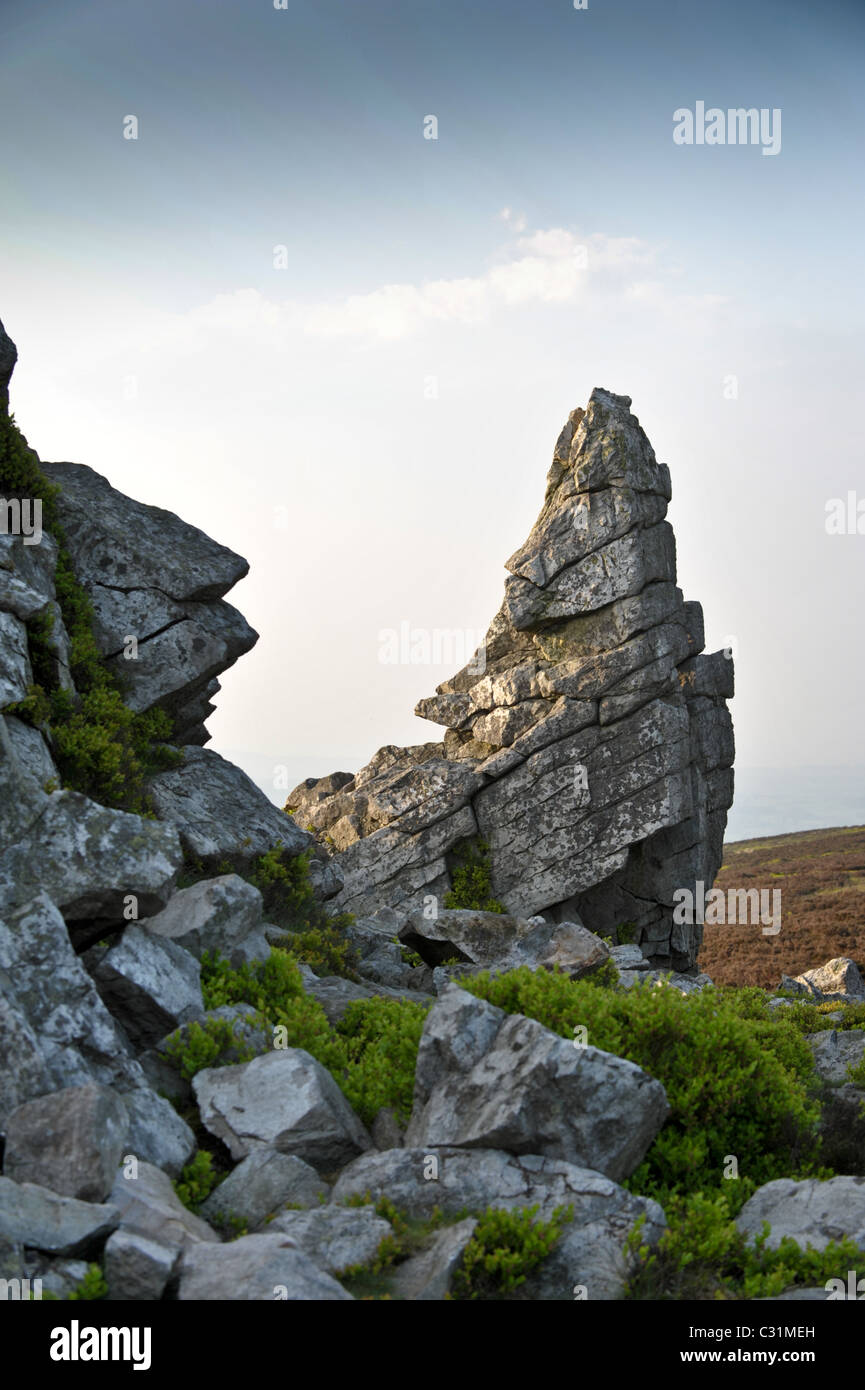 Stiperstones Shropshire High Resolution Stock Photography and Images ...