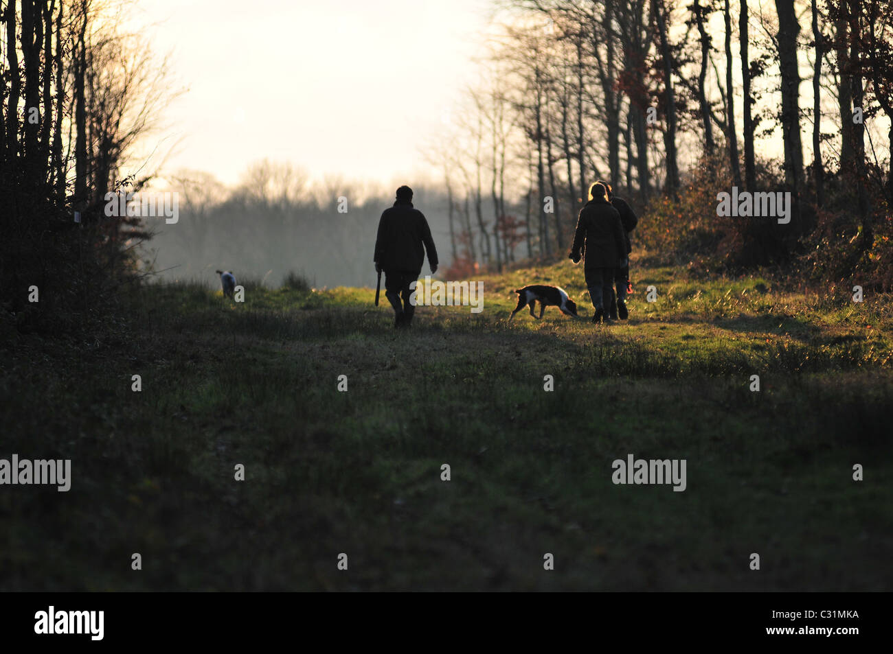HUNTING SCENE AT SUNRISE, HUNTING IN THE NATURE RESERVE OF THE BAY OF ...