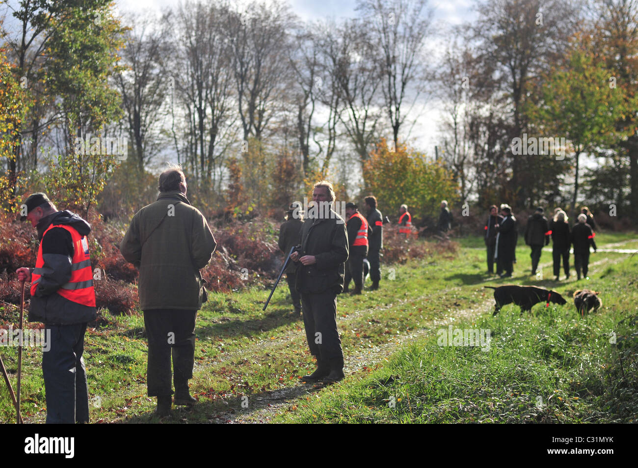 Hunting in a private forest near the marquenterre park hi-res stock ...