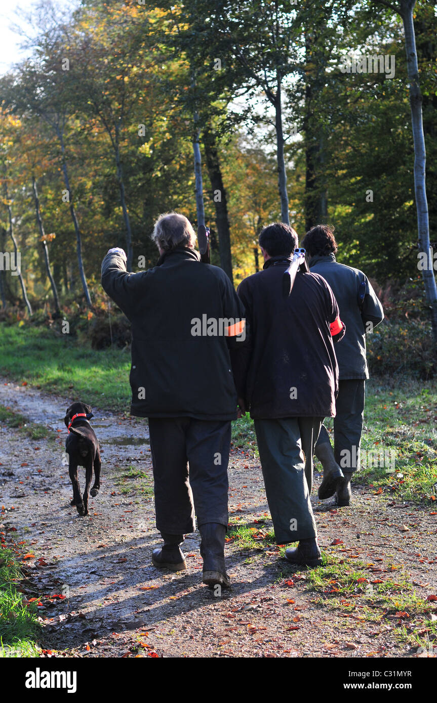 A GROUP OF HUNTERS WITH A DOG, HUNTING IN A PRIVATE FOREST NEAR THE ...