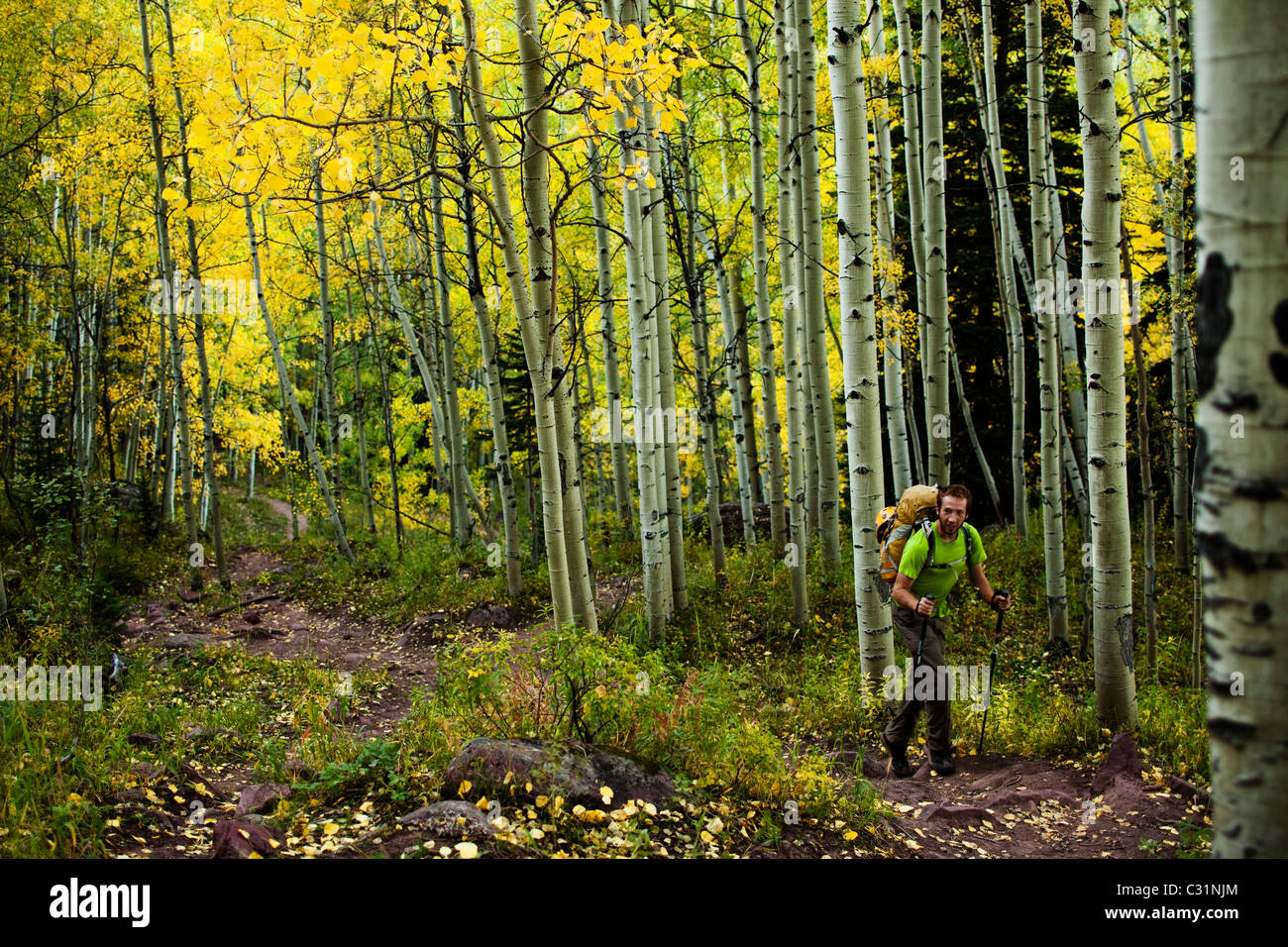 Aspen way hi-res stock photography and images - Alamy