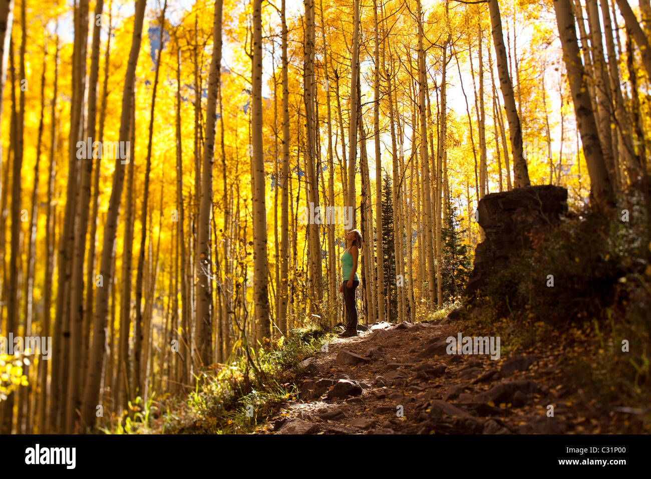 A young woman hiking stops to enjoy the amazing fall colors in Colorado ...