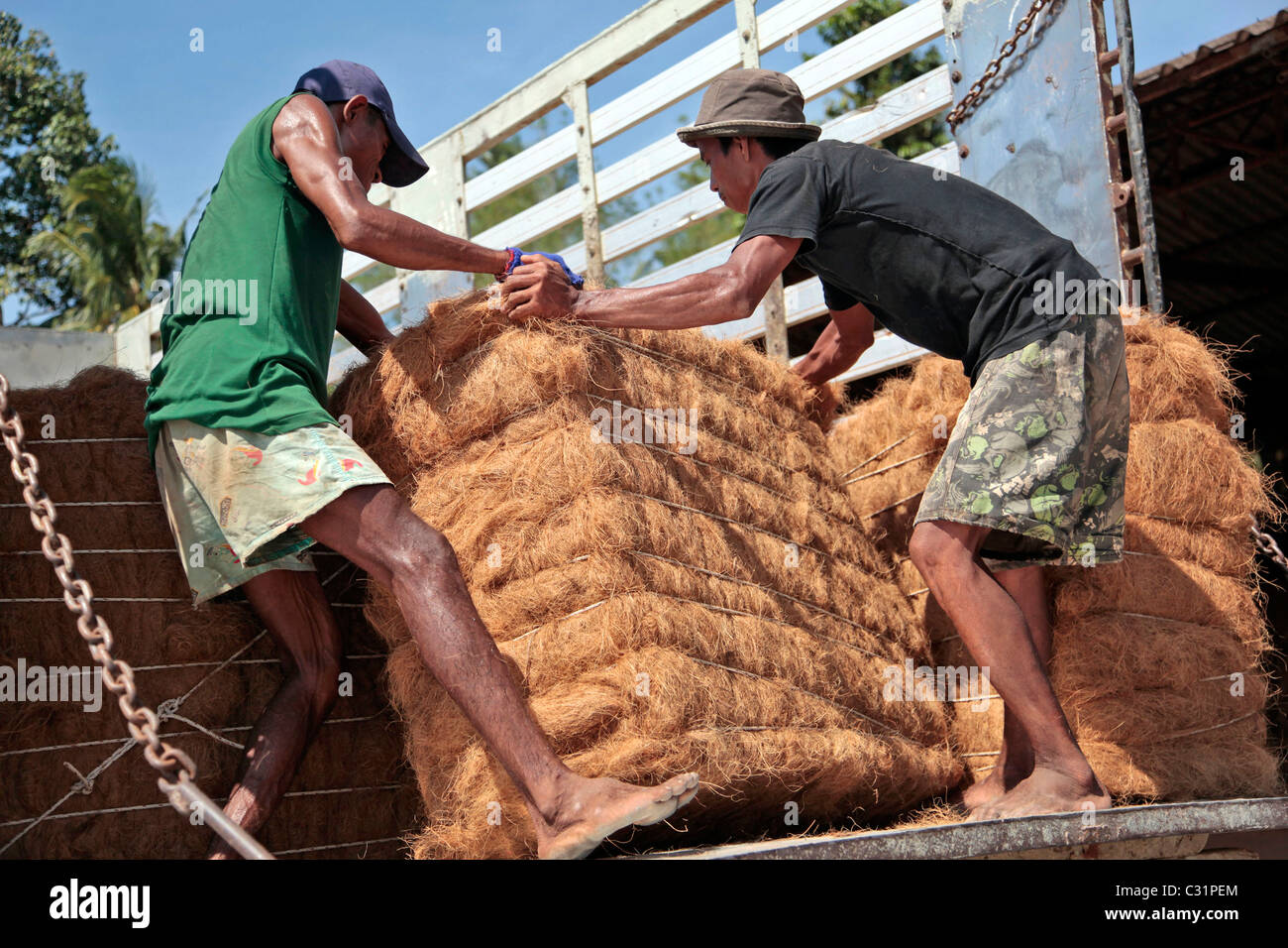 UNLOADING THE BUSHELS, PRODUCTION OF THE COCONUT FIBERS USED IN MAKING ...