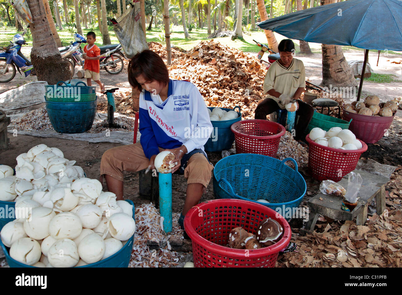 Woman extraction coconut pulp hi-res stock photography and images - Alamy