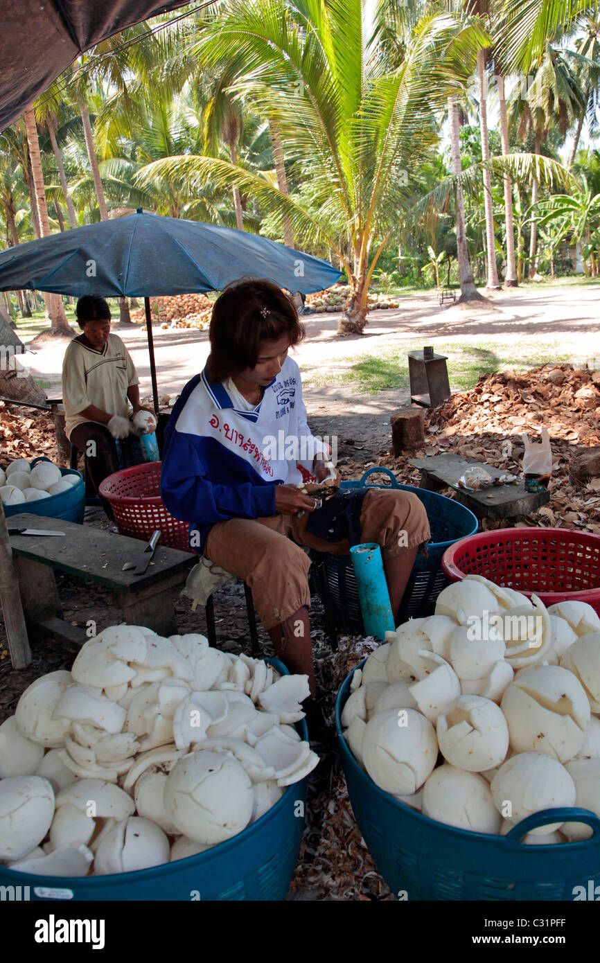 Woman extraction coconut pulp hi-res stock photography and images - Alamy