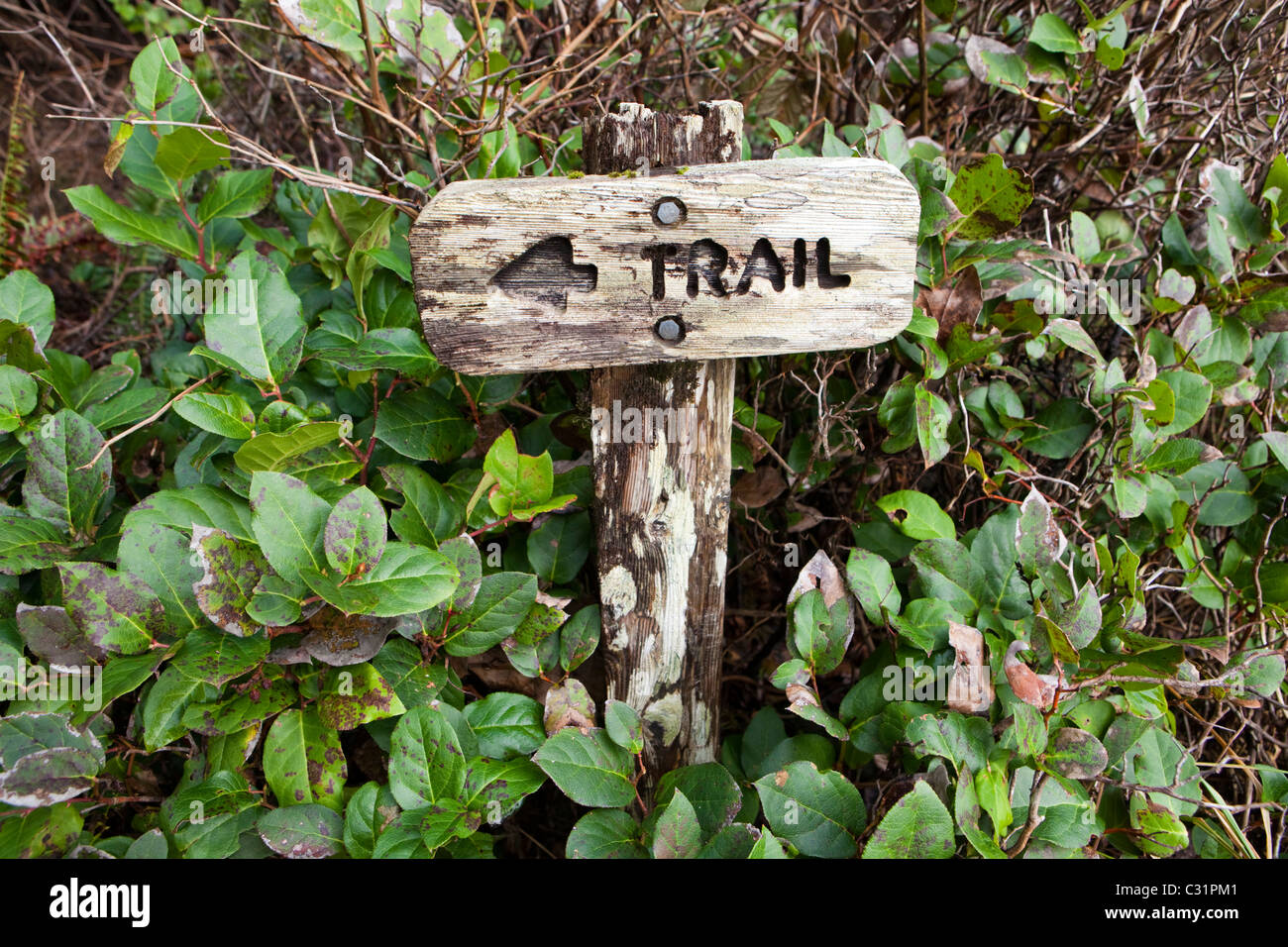 A small wooden sign points to the trail along Third Beach, Olympic ...