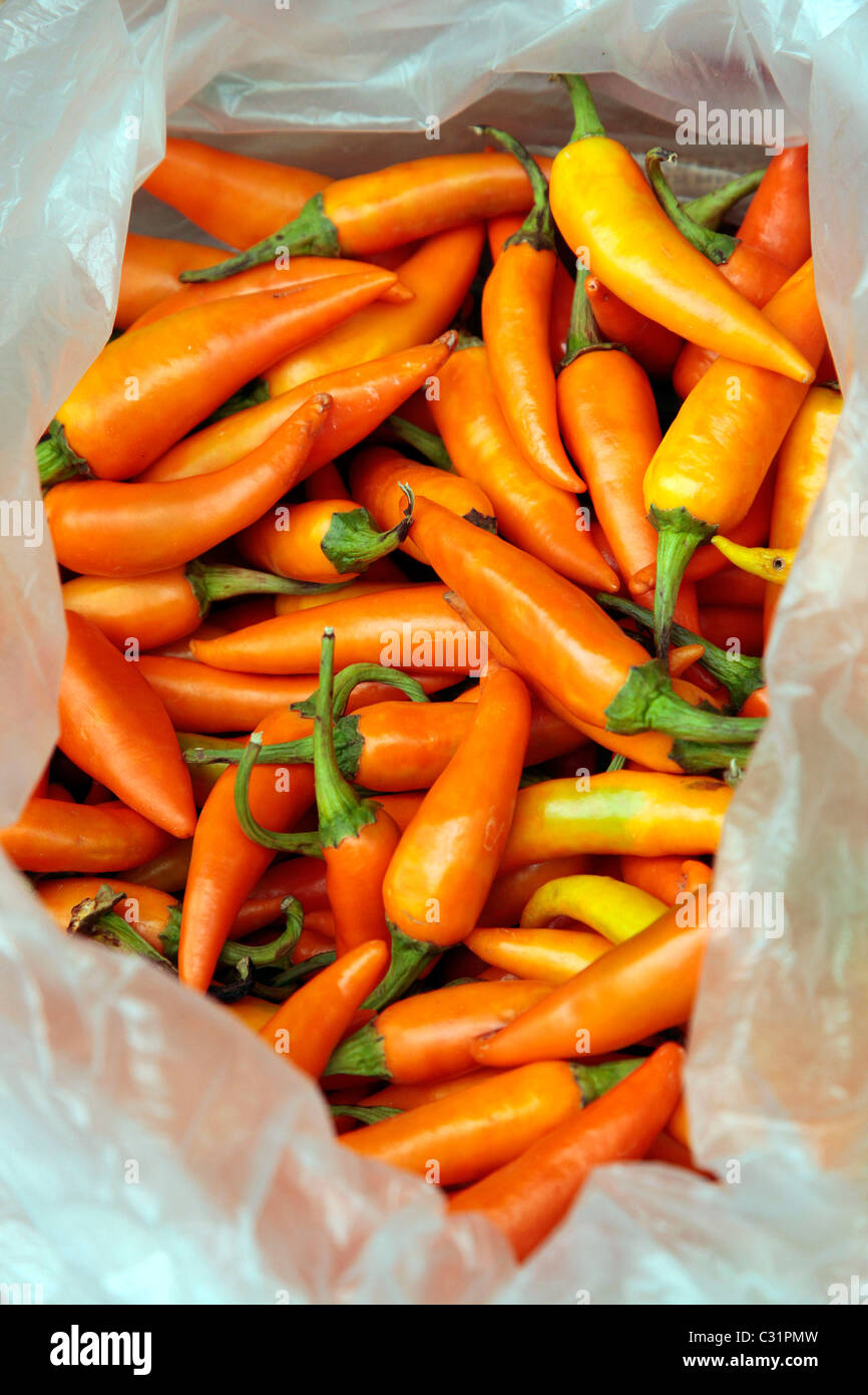 A BAG OF ORANGE-COLORED CHILIES, THAILAND, ASIA Stock Photo - Alamy