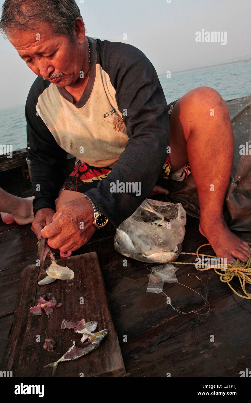 FISHERMAN CUTTING UP THE FISH ON THE BOAT, DEEP-SEA FISHING, REGION OF ...